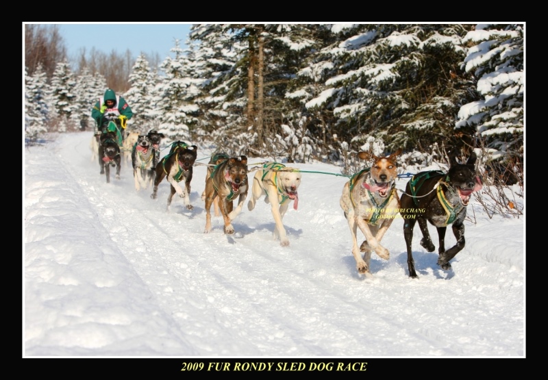 Buddy Streeper 2009 Fur Rondy Sled Dog Race