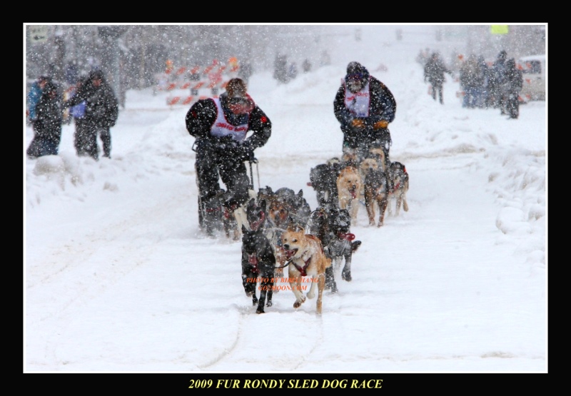 2009 Fur Rondy Sled Dog Race