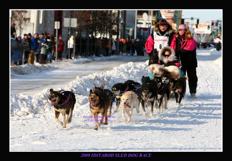 Rick Swenson 2009 Iditarod